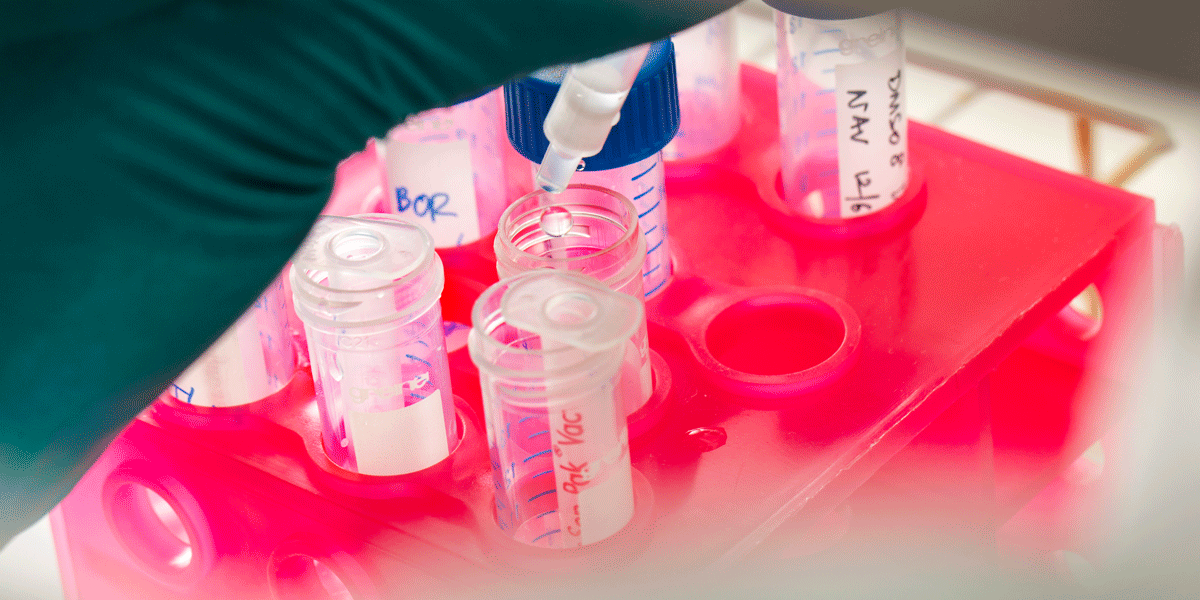 BRIDGE-programmet passer rigtig godt til CAGs - Greater Copenhagen ...